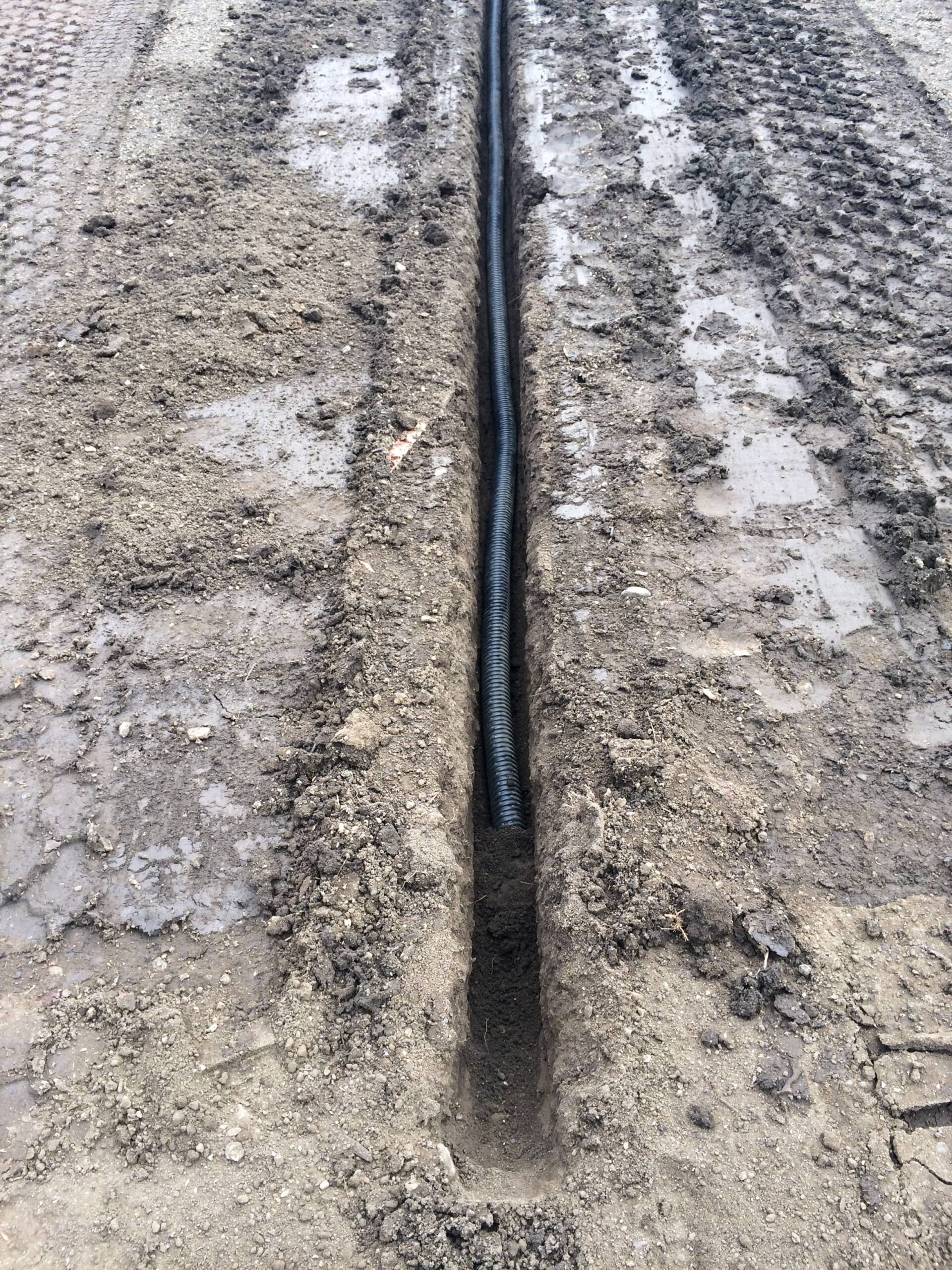 CalTrans DOT DP – LSS